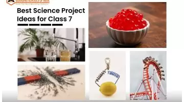 37 Best Science Project Ideas for Students | Class 6 to 10 | 2024
