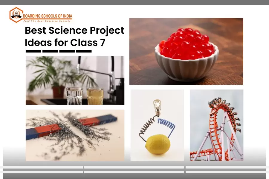 37 Best Science Project Ideas for Students | Class 6 to 10 | 2024